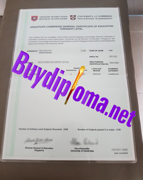 Why Do Fake SINGAPORE CAMBRIDGE Certifcate So Popular? | Fake College ...