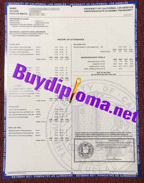 Who Needs to Buy Fake University of California Los Angeles Transcript ...