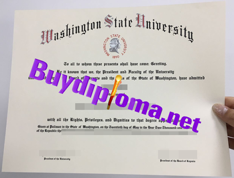 When Do People Have to Buy Fake Washington State University Degree ...