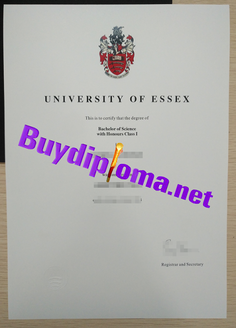 How Can I Shopping Fake University of Essex Degree? | Fake College Diploma, Fake Degree, Fake ...