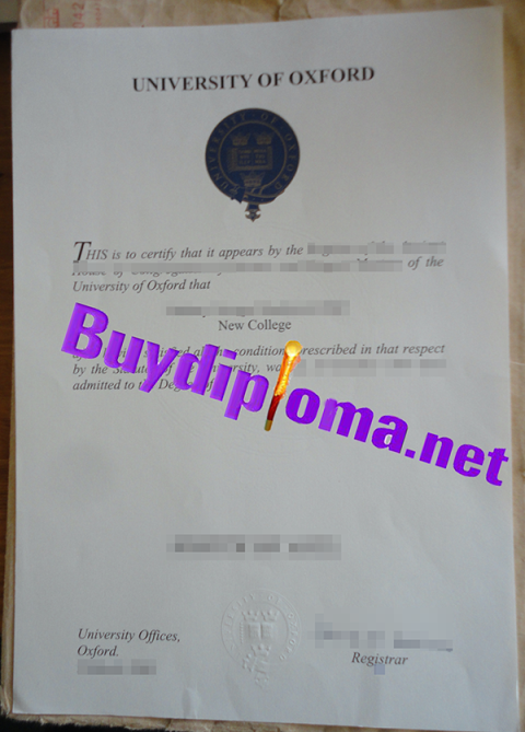 How Can I Shopping Fake University of Oxford Degree? | Fake College Diploma, Fake Degree, Fake ...